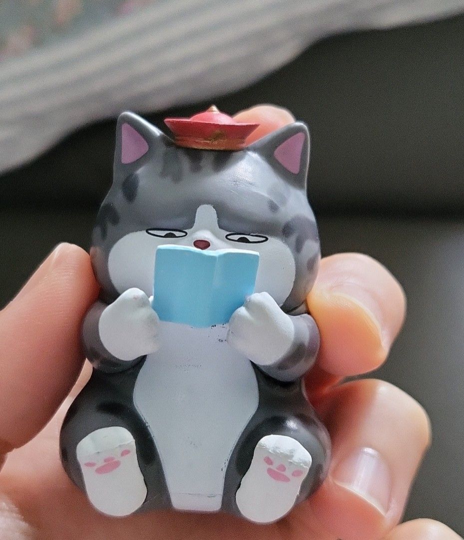 Wu huang wan sui blind box series 2 - Reading Cat Figurine, Hobbies ...