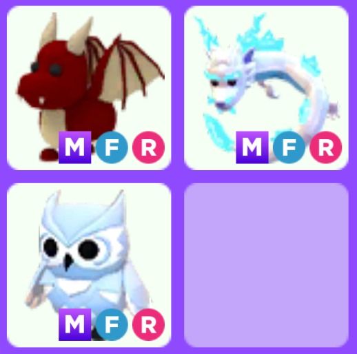 Adopt Me MFR Dragon/Fury/Snow Owl, Video Gaming, Gaming Accessories, In ...