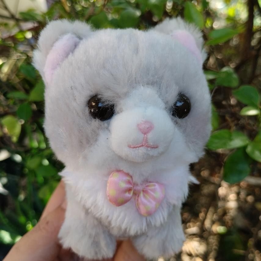 AMUSE Fuwaneko Mew-Chan Plush Toy, Hobbies & Toys, Toys & Games on ...