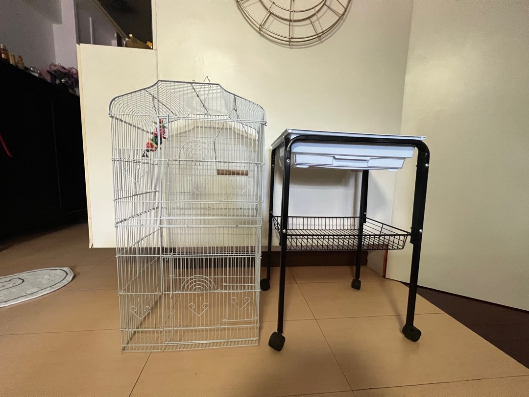 Bird cage buggies, Pet Supplies, Homes & Other Pet Accessories on Carousell