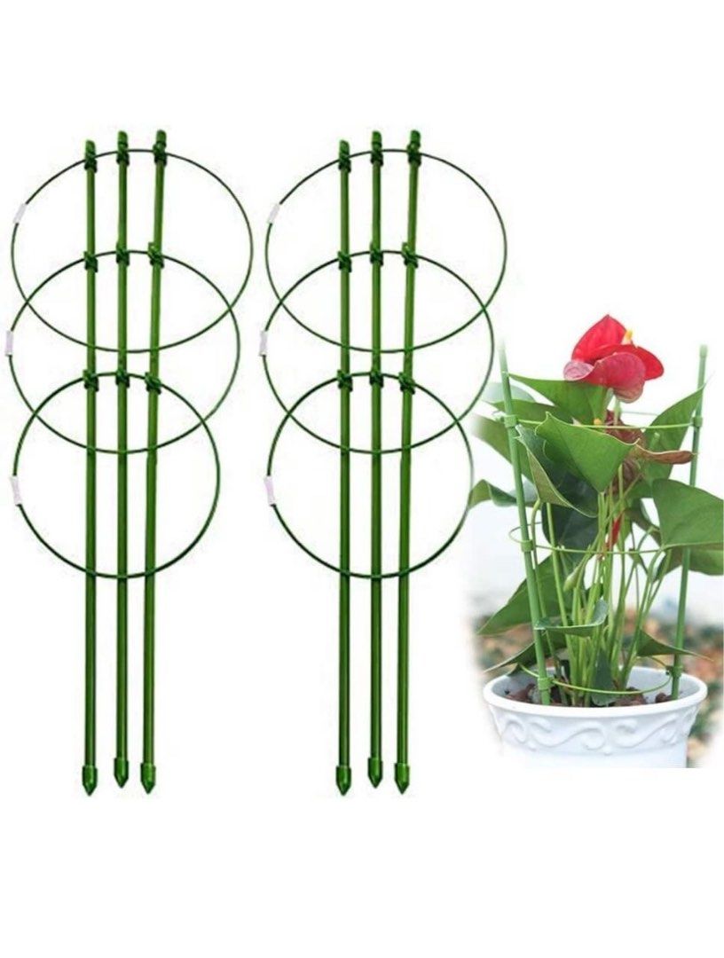 Collapsible garden plant support rings, Furniture & Home Living ...