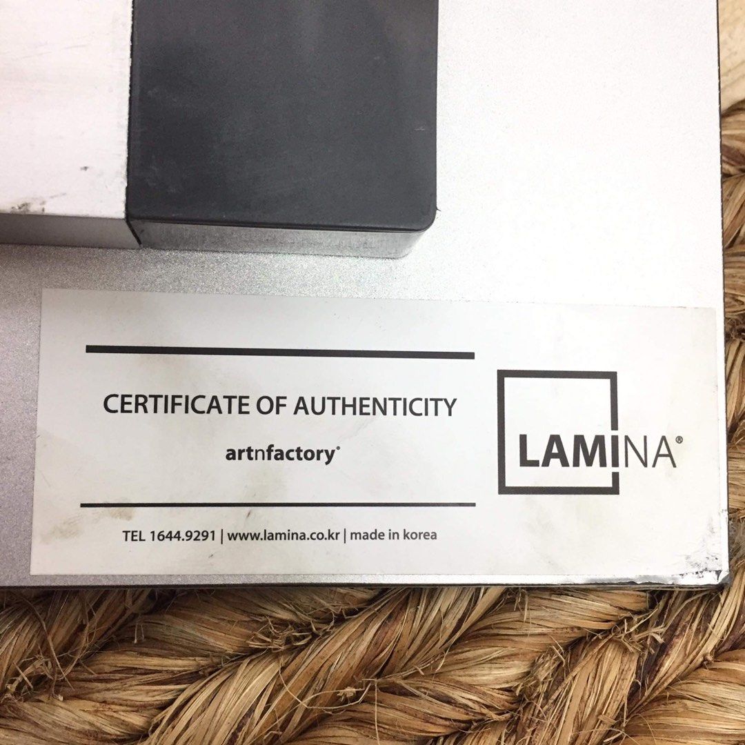 LAMINA ARTNFACTORY Decorative Acrylic Wall Art Display (30" x 20") on ...