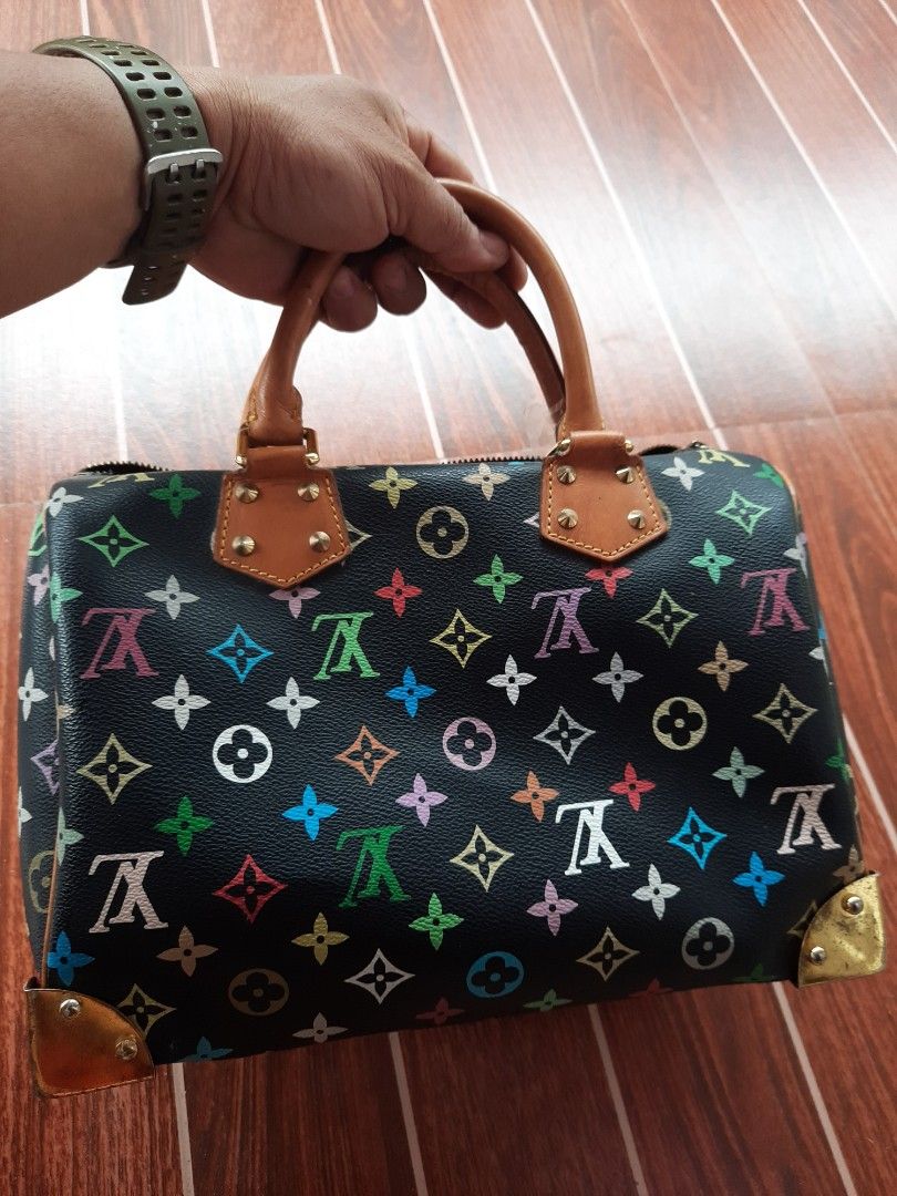 LOUIS VUITTON MULTI COLOR SPEEDY 25 on Carousell