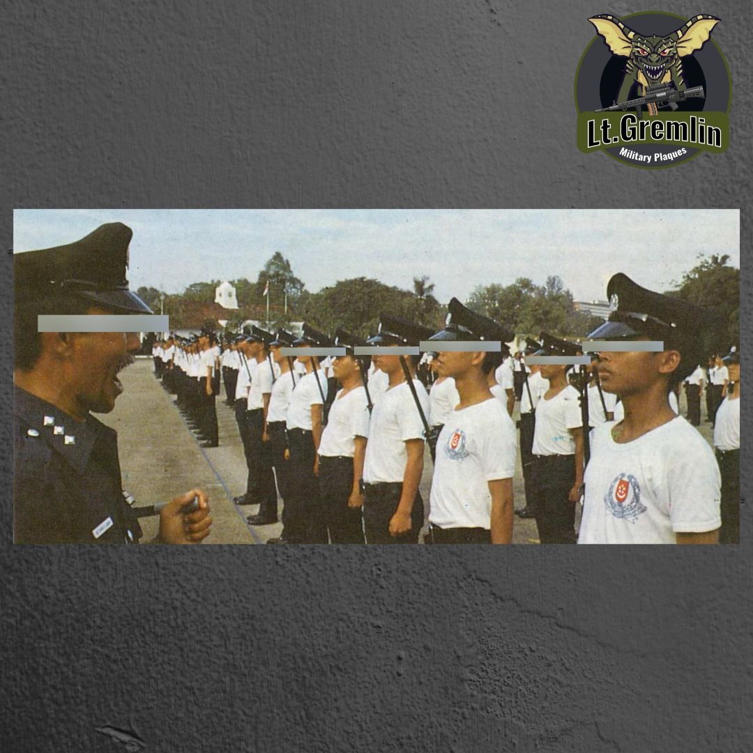 Police Swagger Stick/ Drill Cane, Hobbies & Toys, Memorabilia ...