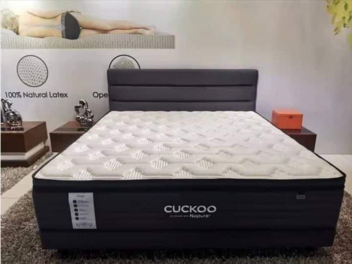 Tilam Cuckoo, Furniture & Home Living, Furniture, Bed Frames ...