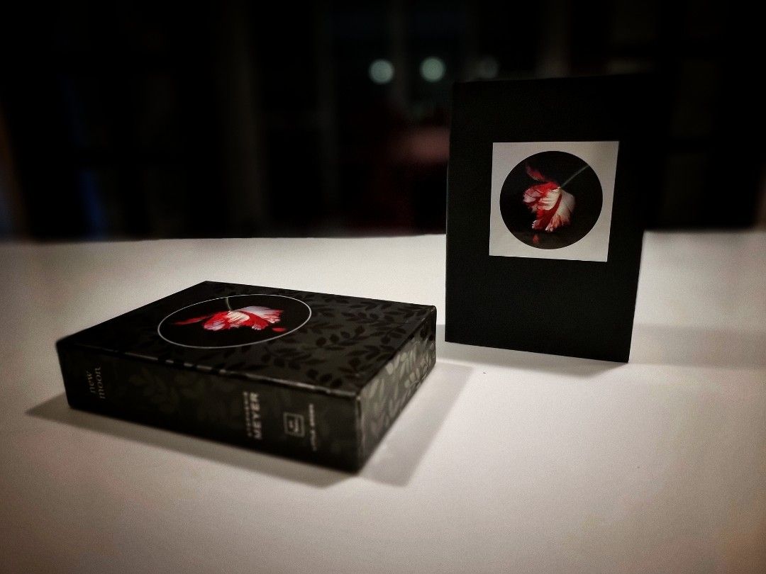 TWILIGHT SAGA LIMITED COLLECTOR'S EDITION SET by Stephanie Meyer ...