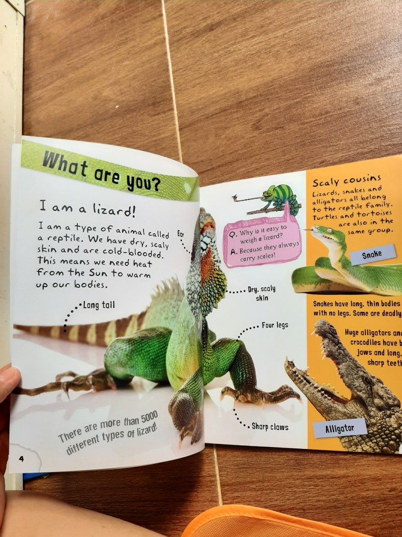Buku i am a lizard, Buku & Alat Tulis, Buku Anak-Anak di Carousell