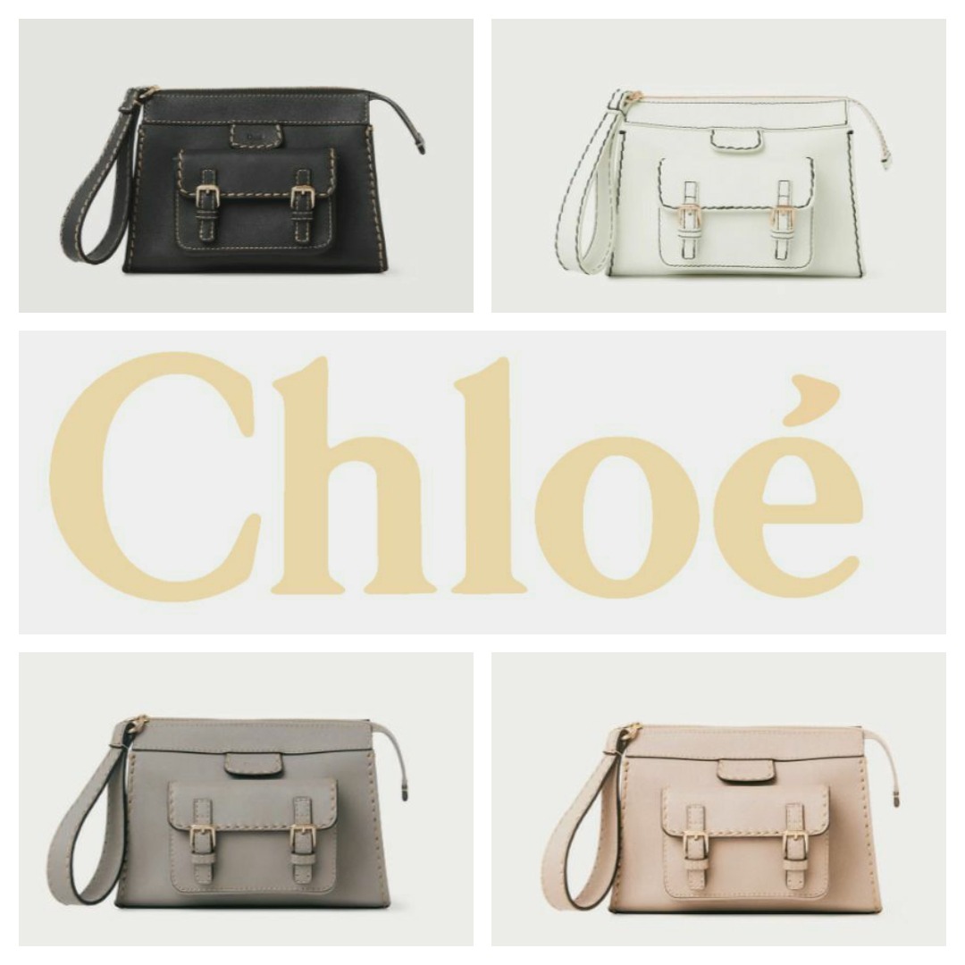 CHLOE Edith Small Pouch, Luxury, Bags & Wallets on Carousell