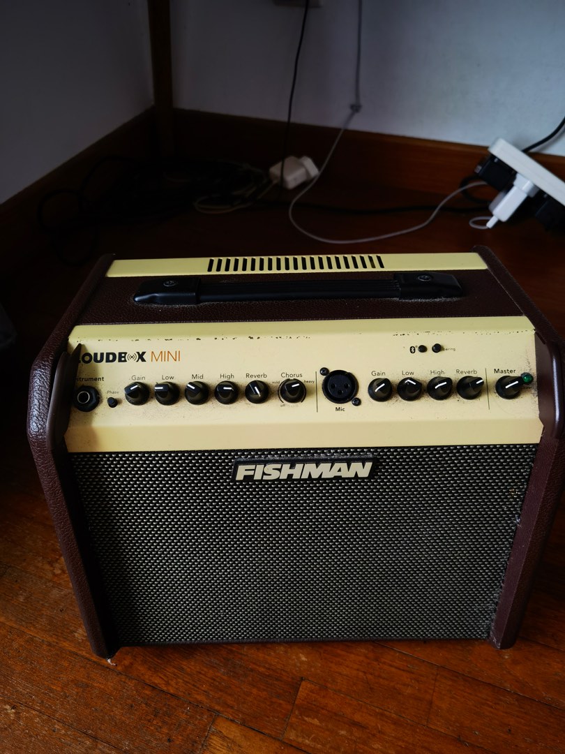 Fishman Amplifier Mini, Audio, Soundbars, Speakers & Amplifiers on ...