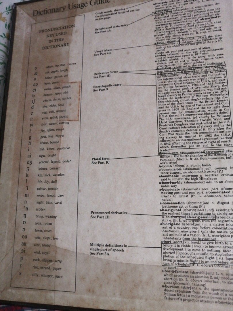 Lexicon Webster's Dictionary on Carousell