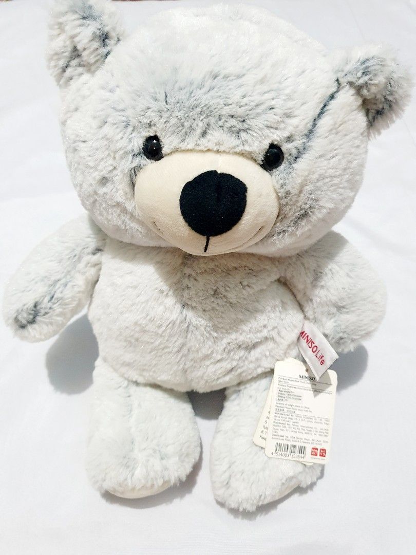 Miniso teddy bear (new) on Carousell
