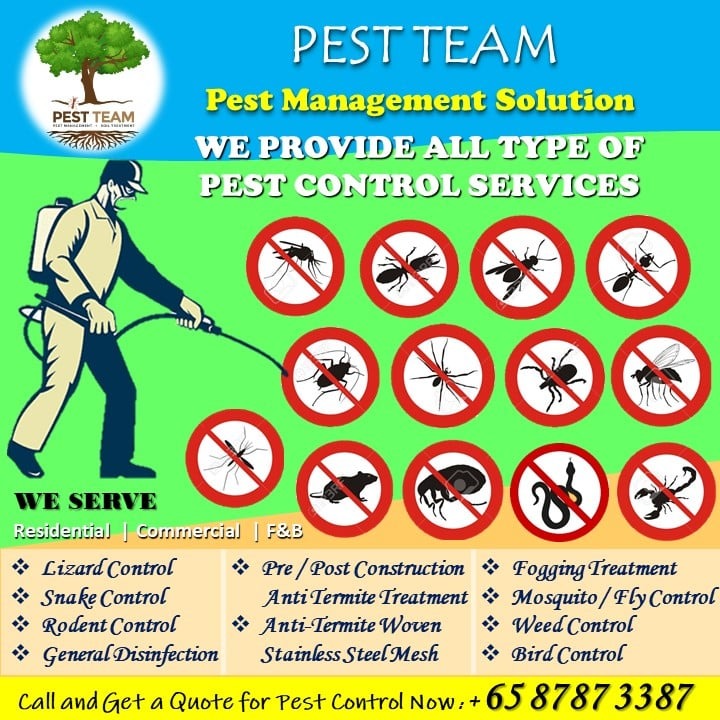Professional Pest Management (NEA Certified), Home Services, Home ...
