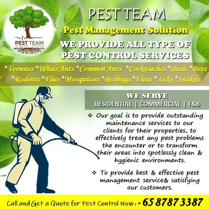 Professional Pest Management (NEA Certified), Home Services, Home ...