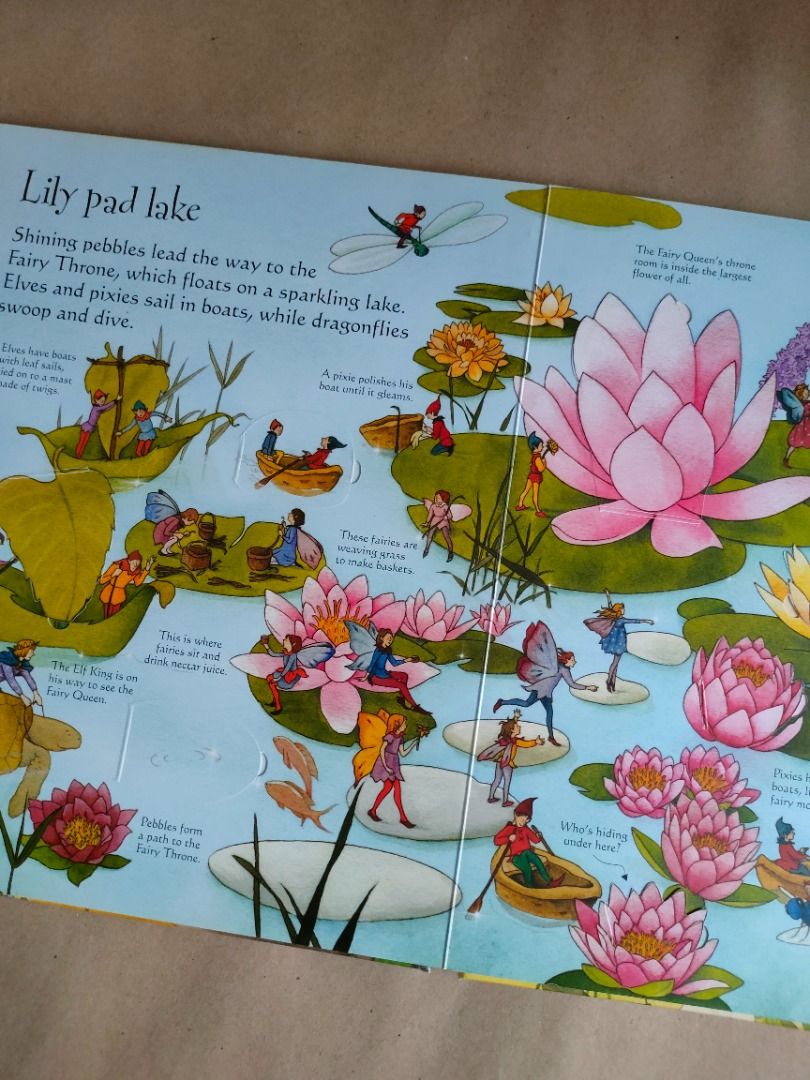 Usborne See Inside: Fairyland, Hobbies & Toys, Books & Magazines ...