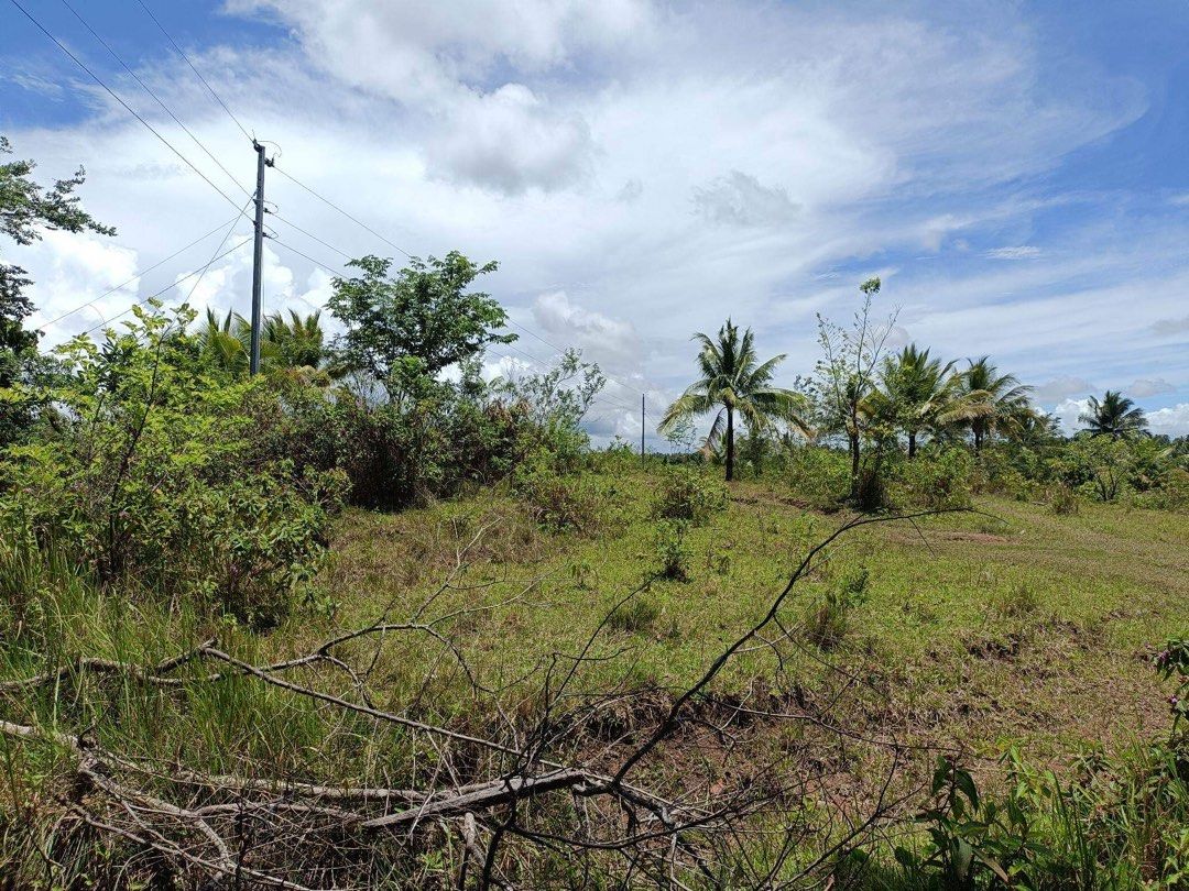 9.9 Hectares of Farmland, Property, For Sale, Lot on Carousell