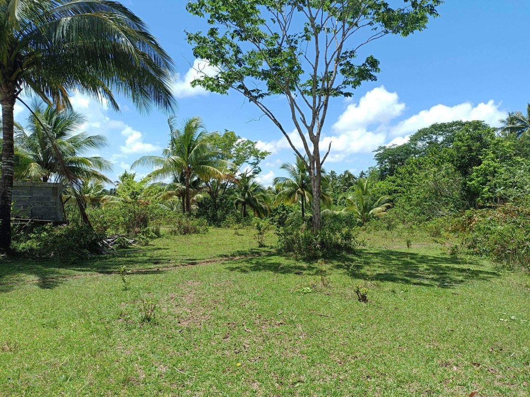 9.9 Hectares of Farmland, Property, For Sale, Lot on Carousell