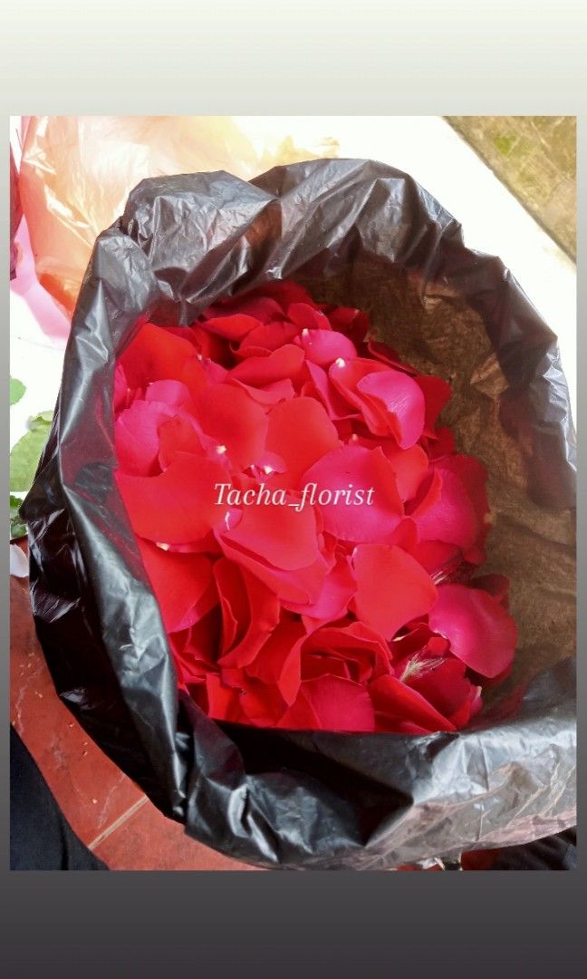 Bunga mawar merah tabur cimahi bdg on Carousell