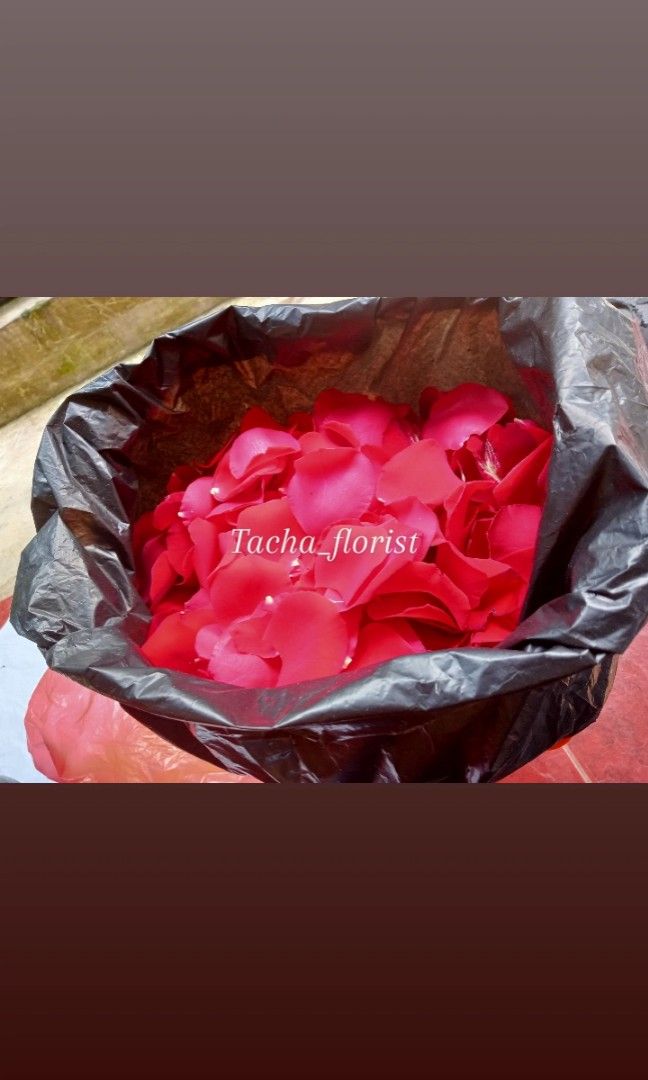 Bunga mawar merah tabur cimahi bdg on Carousell