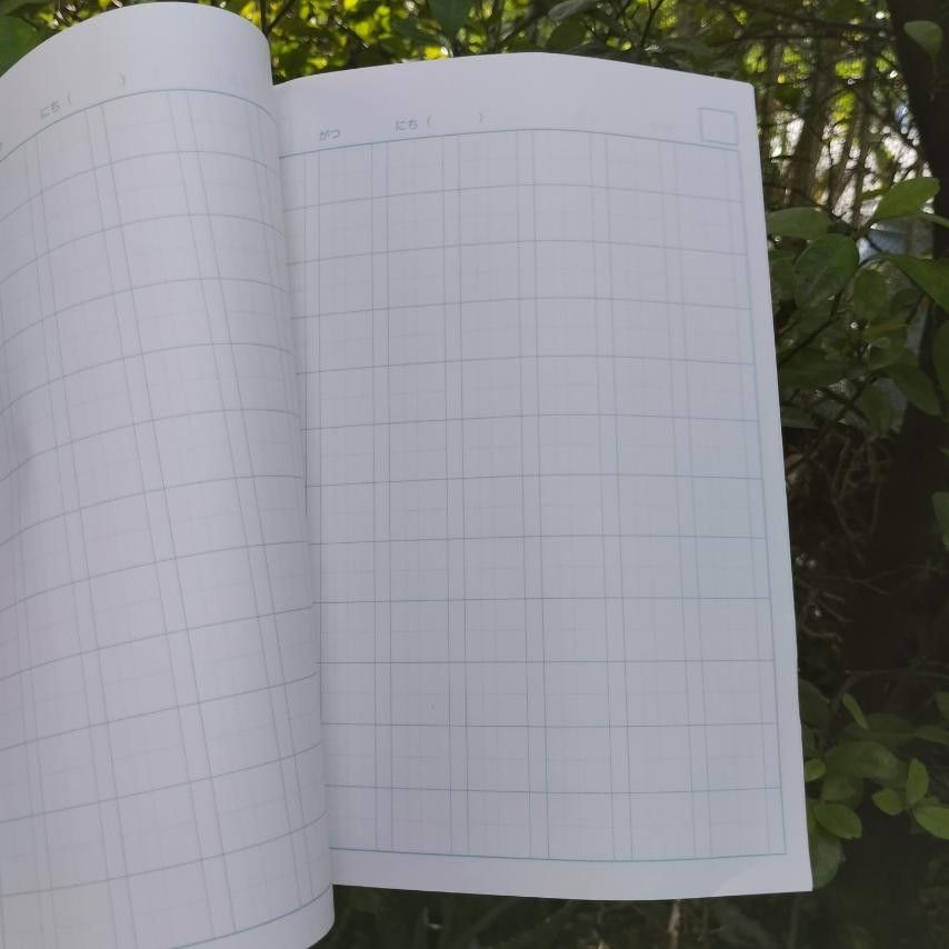 College Kanji Drill Notebook on Carousell