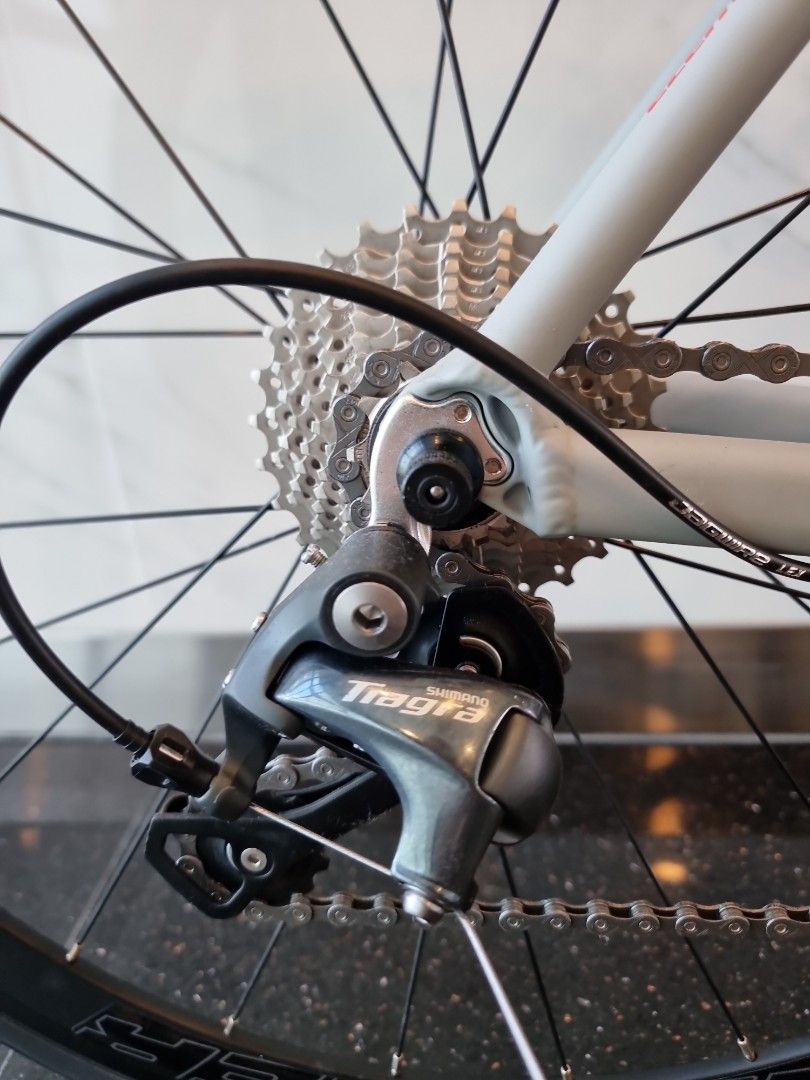 Element Curved Road Bike | Shimano Tiagra | Carbon Fork, Sports ...