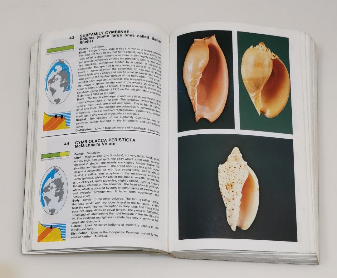 Encyclopedia of Shells, Hobbies & Toys, Books & Magazines, Storybooks ...