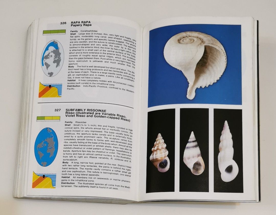 Encyclopedia of Shells, Hobbies & Toys, Books & Magazines, Storybooks ...