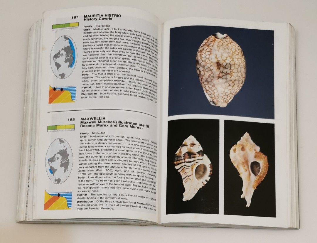 Encyclopedia of Shells, Hobbies & Toys, Books & Magazines, Storybooks ...