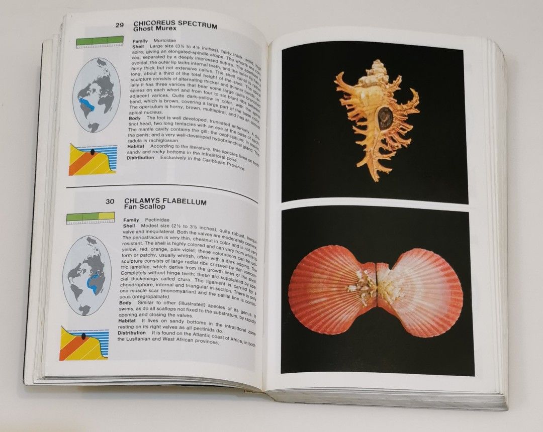 Encyclopedia of Shells, Hobbies & Toys, Books & Magazines, Storybooks ...