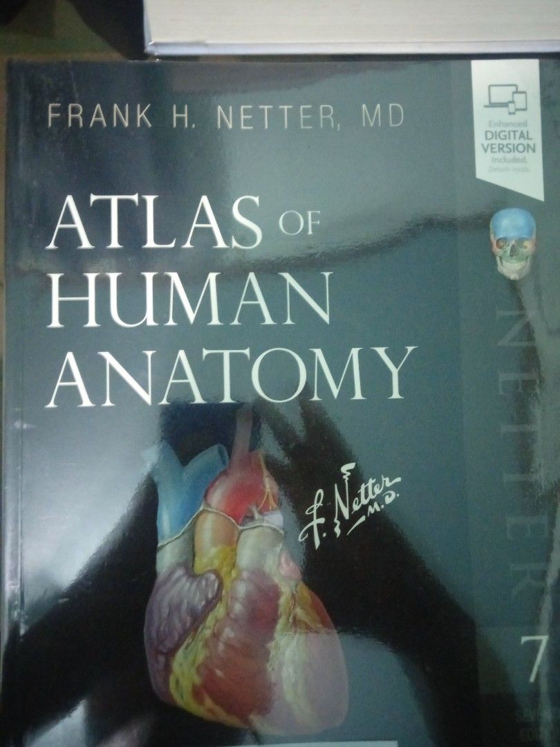 Netter Atlas of Human Anatomy 7th Edition, Hobbies & Toys, Books ...