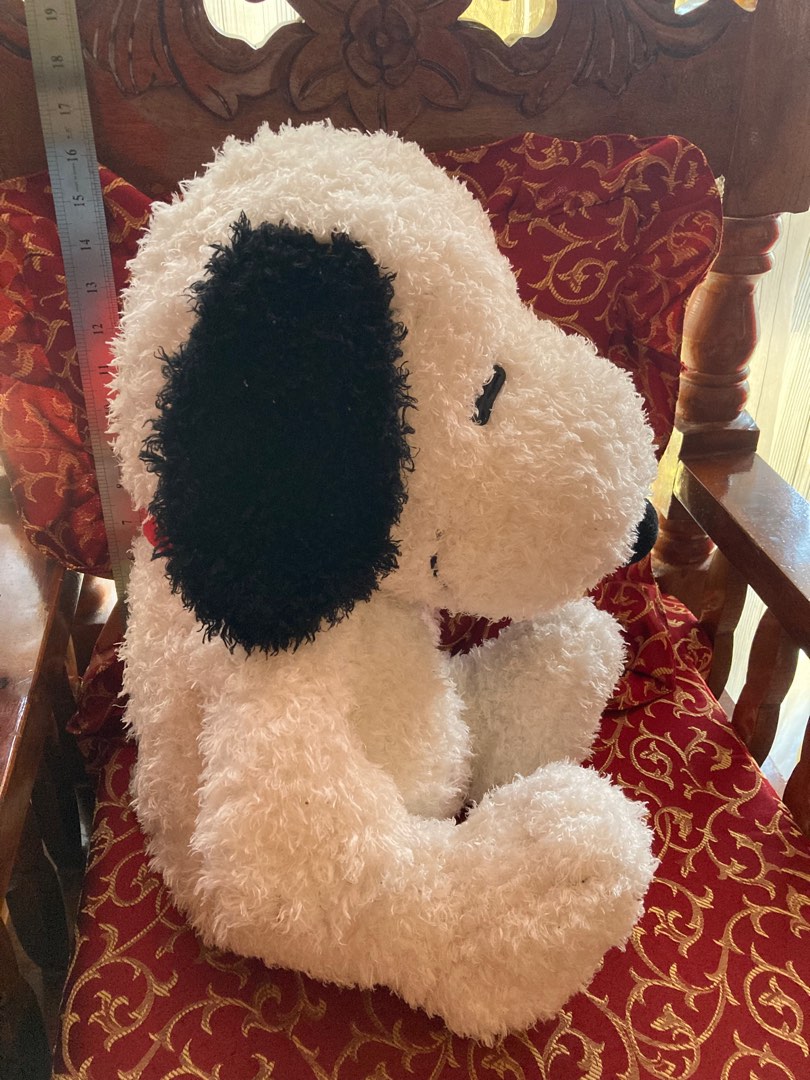 Snoopy 20” on Carousell
