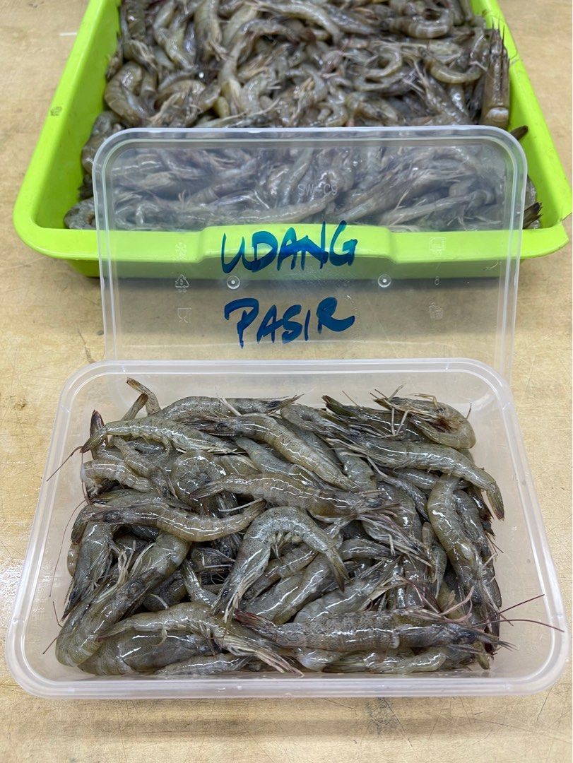 Udang Pasir/ Sand Prawn, Sports Equipment, Fishing on Carousell