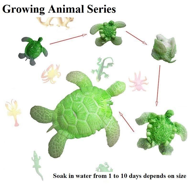 Water babies growing water toys grow big water animals insects dragon water baby science ...