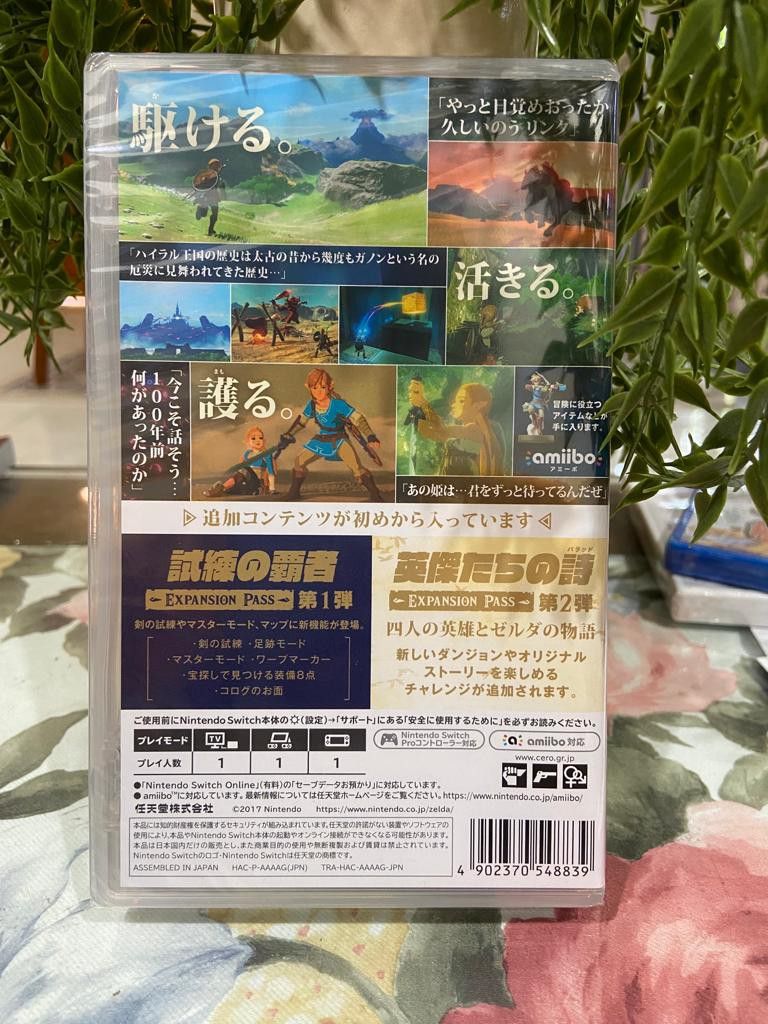 Zelda BOTW with Expansion Pass Switch, Video Gaming, Video Games ...