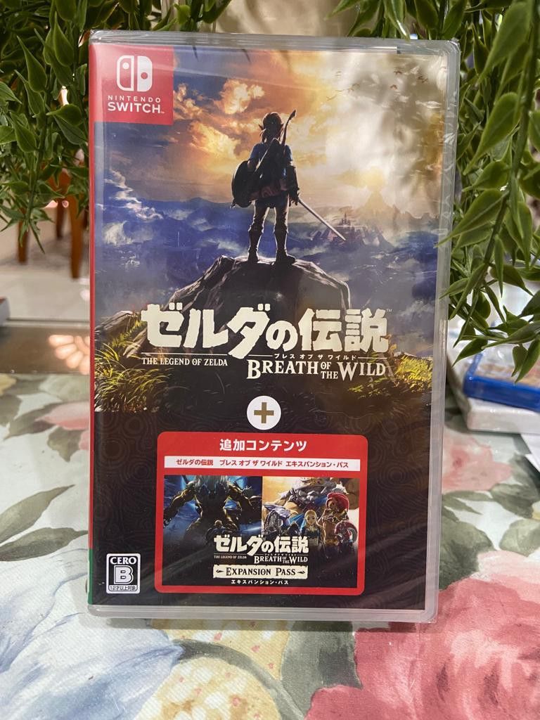 Zelda BOTW with Expansion Pass Switch, Video Gaming, Video Games ...