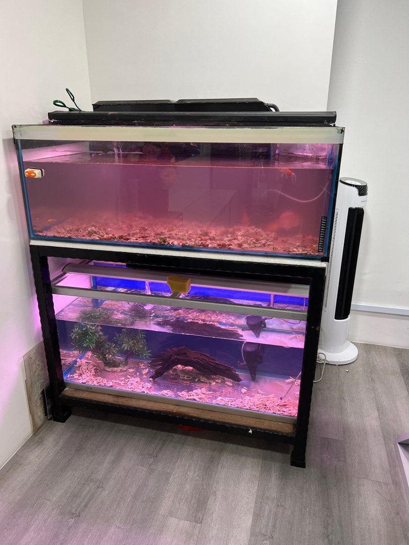 4ft tank set with delivery , Pet Supplies, Homes & Other Pet ...