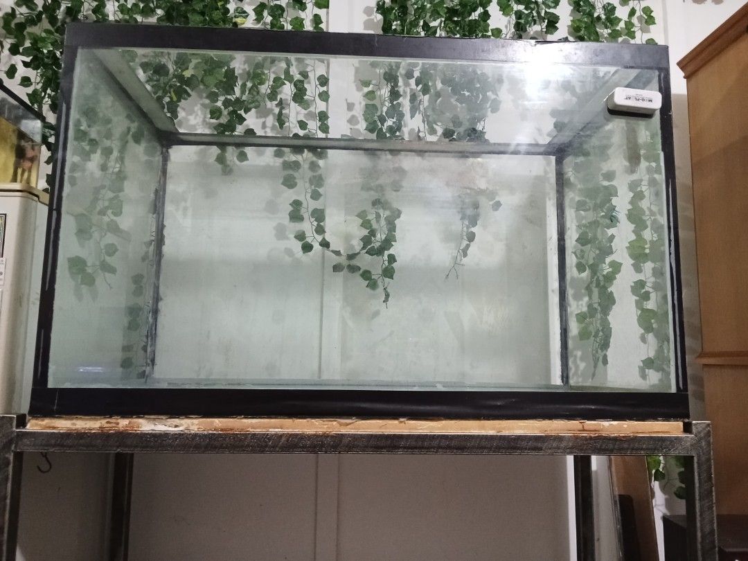 4 Ft fish Tank with Stand, Pet Supplies, Homes & Other Pet Accessories ...