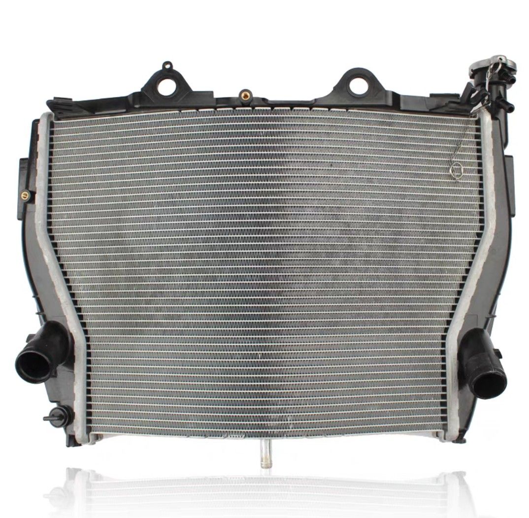 BMW S1000RR / S1000R RADIATOR, Motorcycles, Motorcycle Accessories on ...