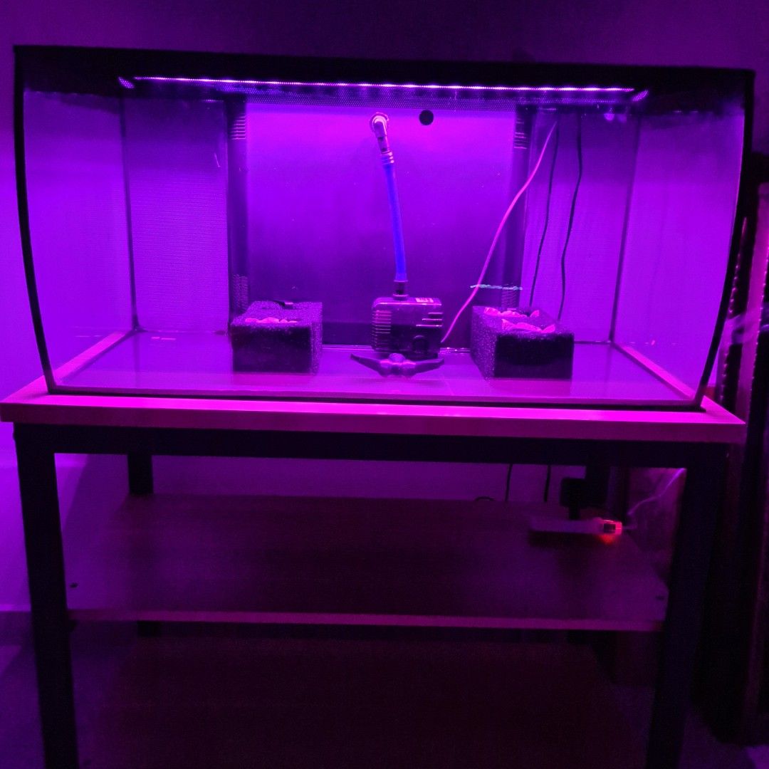 Fluval Flex 123L Fish Tank Set with Stand, Pet Supplies, Homes & Other ...