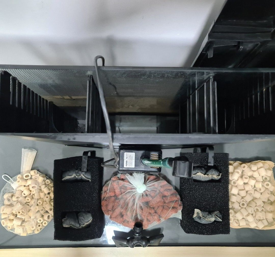 Fluval Flex 123L Fish Tank Set with Stand, Pet Supplies, Homes & Other ...