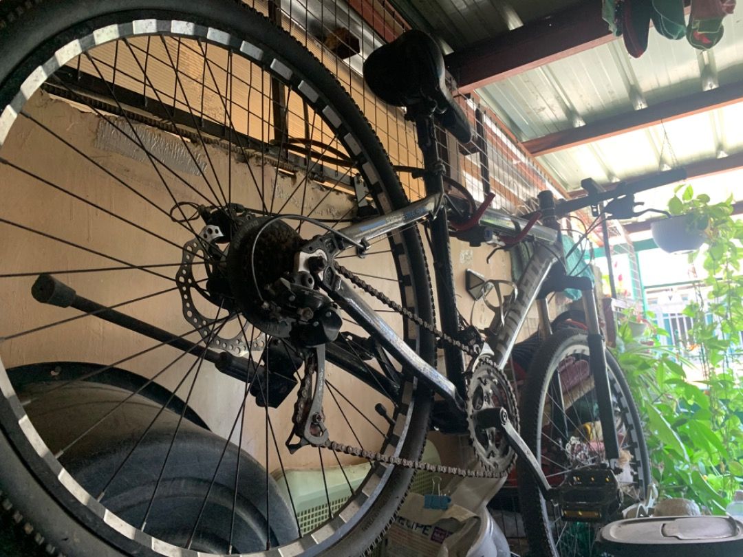 Mountain Bike (Laux Jack: Superlite Steel Frame), Sports Equipment ...