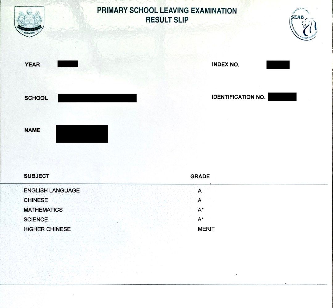 PSLE O N A Level IB IGCSE AP Preschool Kindergarten Primary Secondary ...
