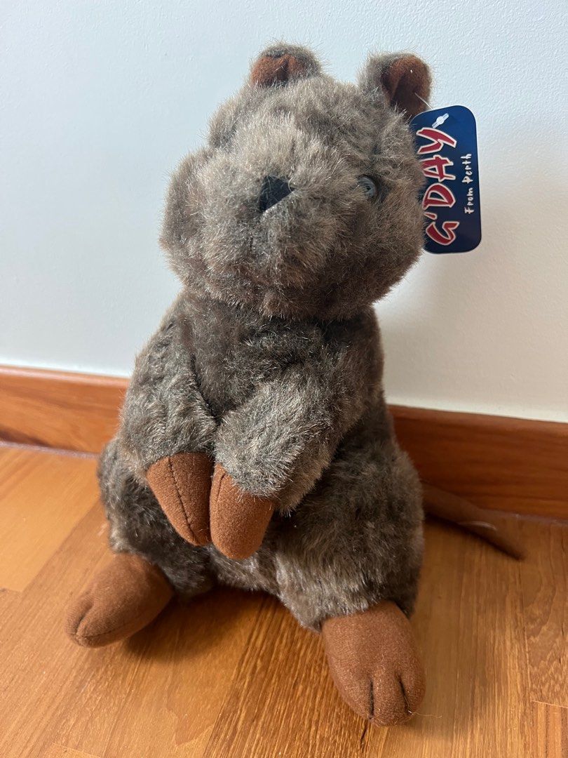 Quokka Plushie - bought from Rottnest island, Perth, Hobbies & Toys ...