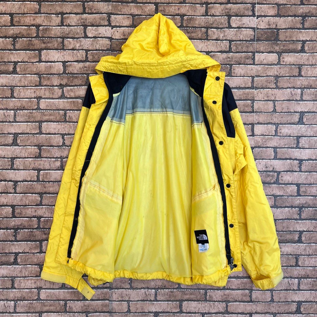The North Face Gore Tax Retro Design Distressed Jacket, Men's Fashion ...