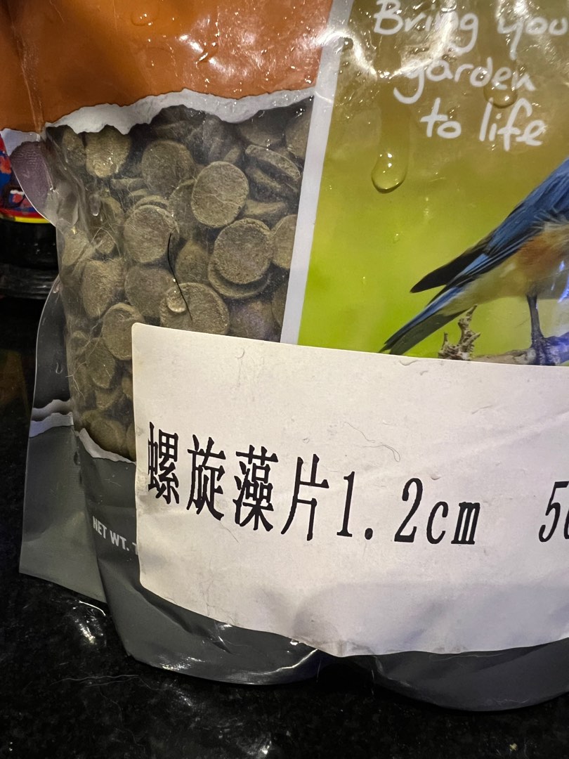 Algae tablets for bottom feeder fish, Pet Supplies, Pet Food on Carousell