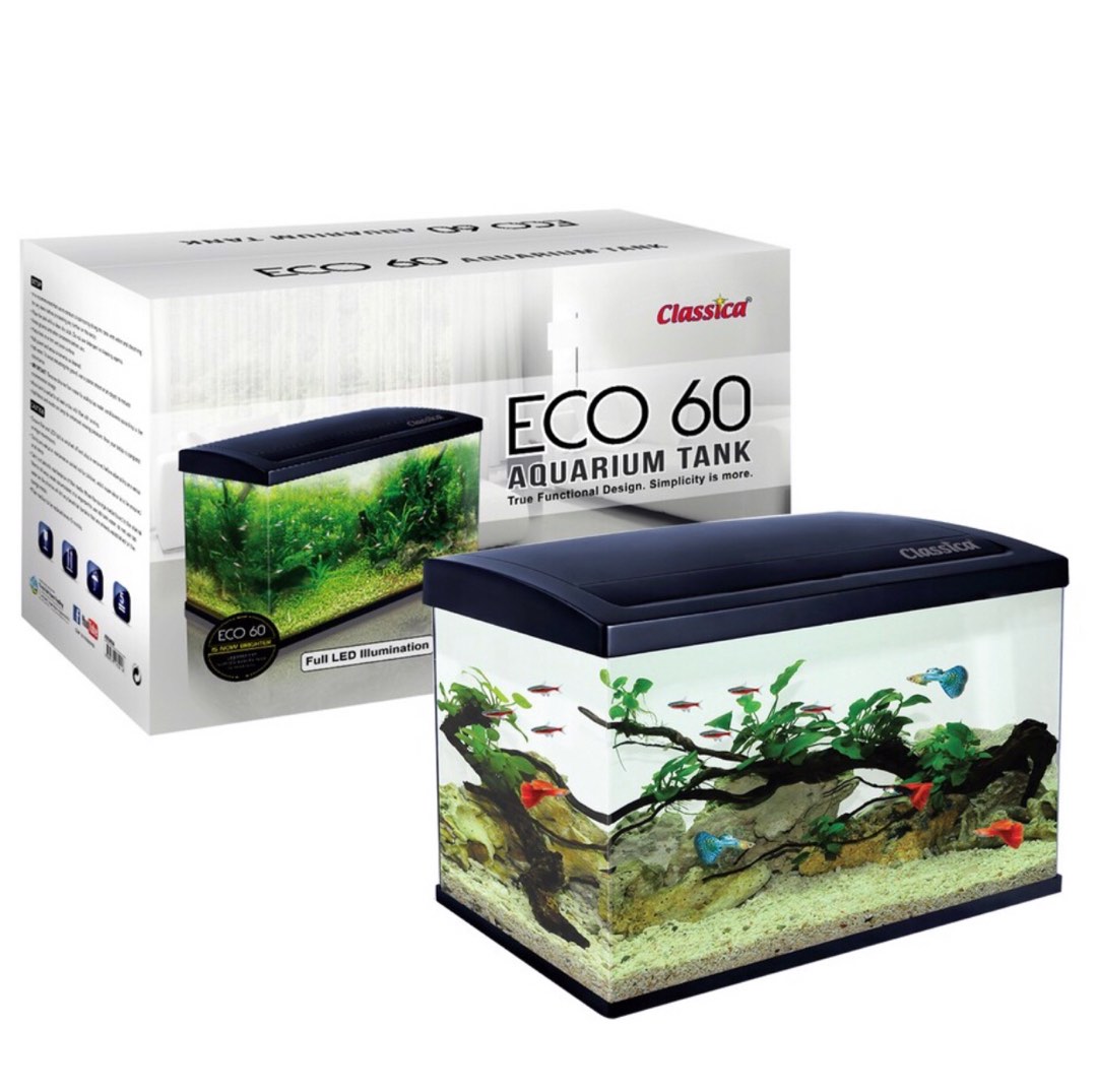 Classica Eco 60 fish tank, Pet Supplies, Homes & Other Pet Accessories ...