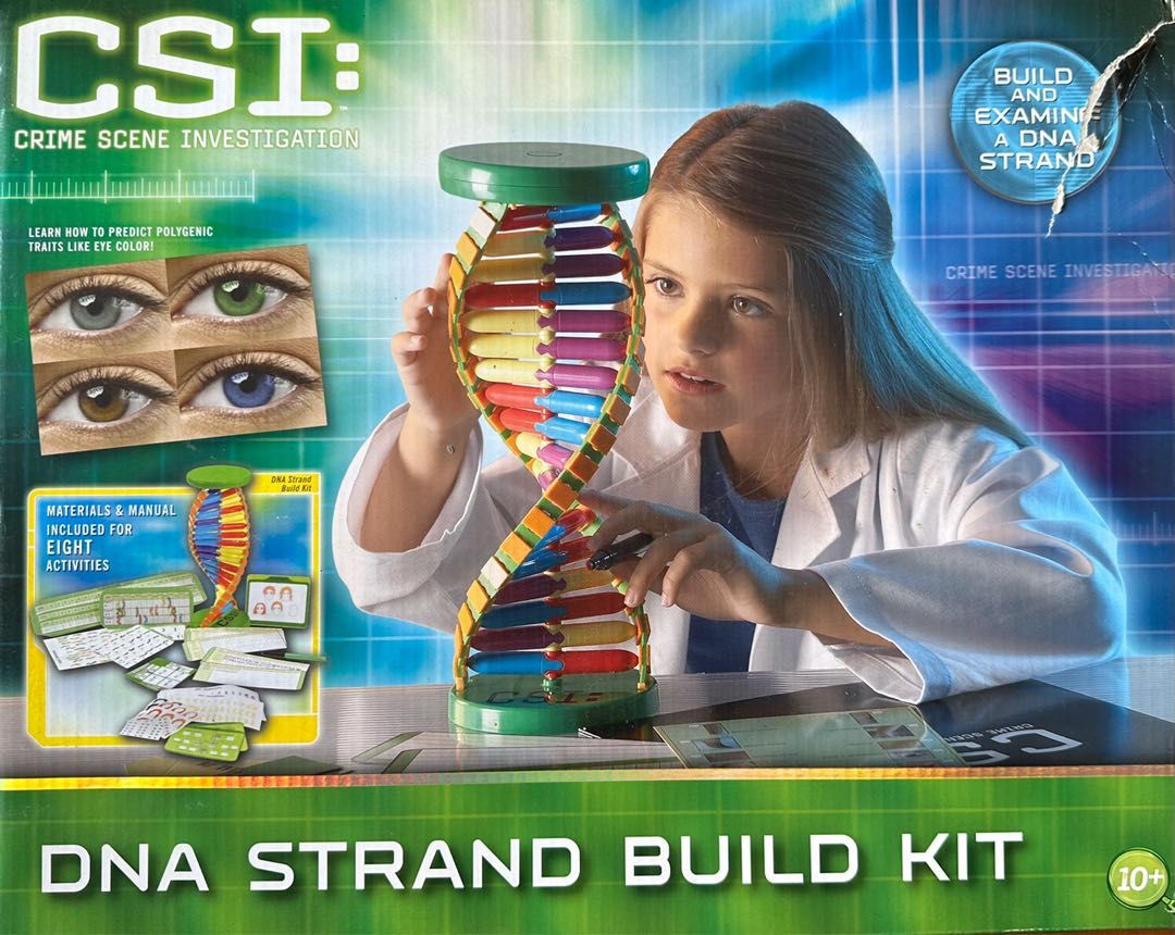 DNA Strand Build Kit + Gummy Bear Body, 興趣及遊戲, 玩具 & 遊戲類 - Carousell