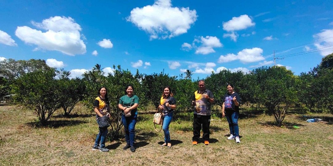 Farm land 1.7 hectare in Caluangan Magallanes Cavite, Property, For ...