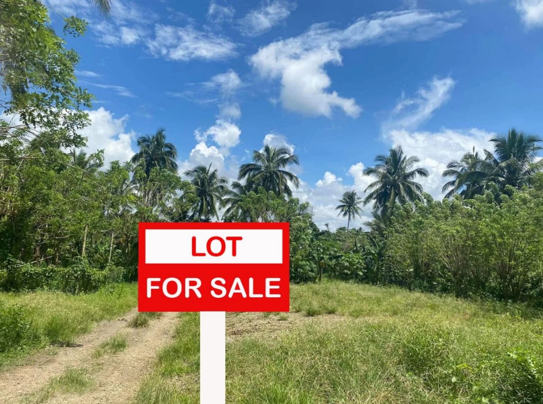 For Sale: Adjoining 5 Lots Residential Prime Lot in Tagaytay ...