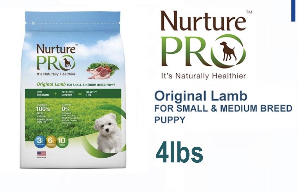 Dog food to bless(Nurture pro lamb), Pet Supplies, Pet Food on Carousell