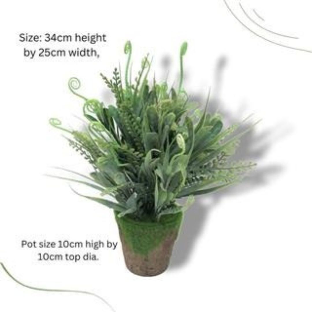 Plant Curly Ferns artificial Bplant219, Furniture & Home Living, Home ...